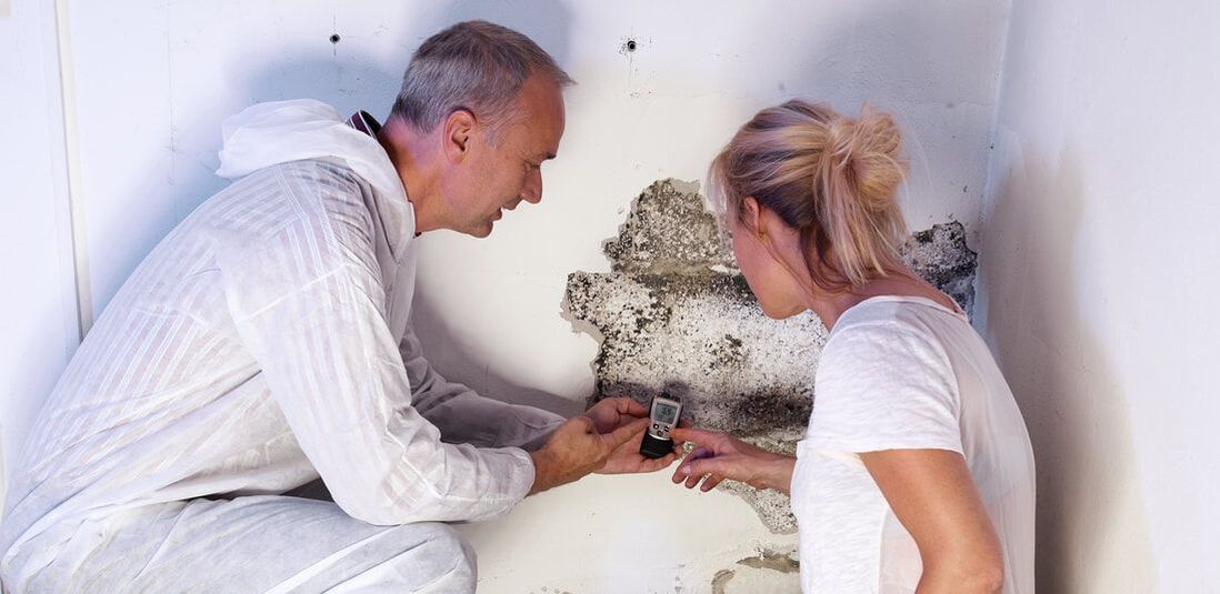 Home - Midwest Aerobiology Labs (Mold & Asbestos Inspectors)