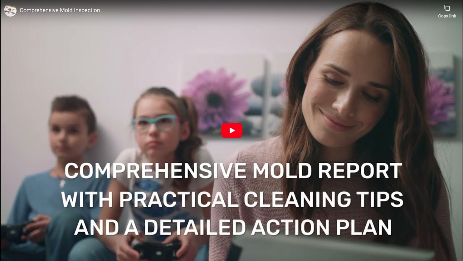 Mold Inspection Antioch, IL - Midwest Aerobiology Labs (Mold & Asbestos ...